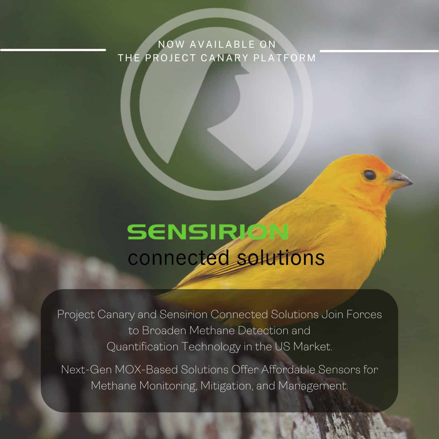 Project Canary and Sensirion Connected Solutions Join Forces to Broaden ...