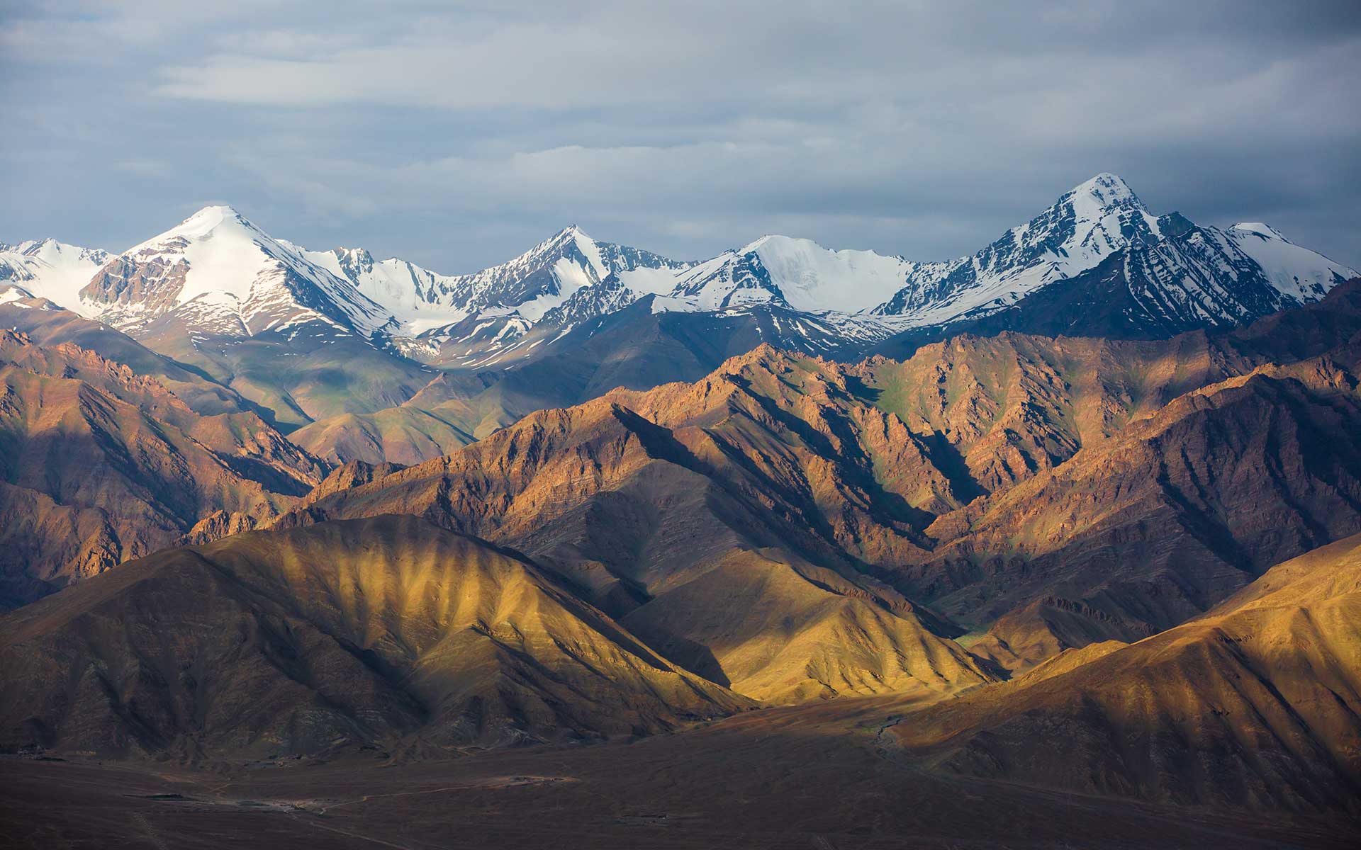 Team | Project Canary