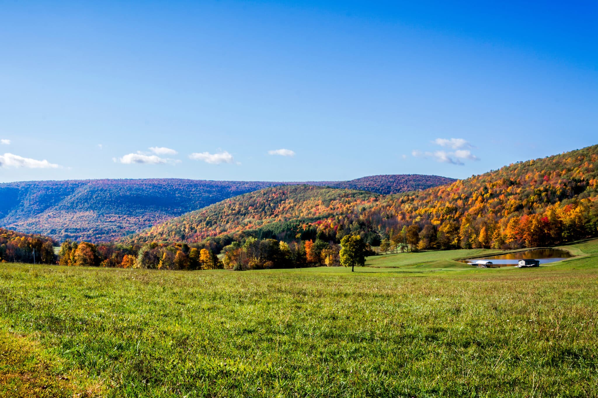 How Olympus Energy and Hyperion Midstream are Setting the Bar for ...