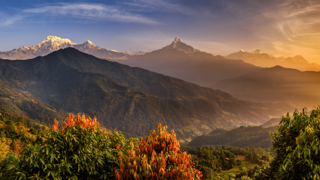 Get Ready for New OOOOb/c Standards With Project Canary - Project Canary