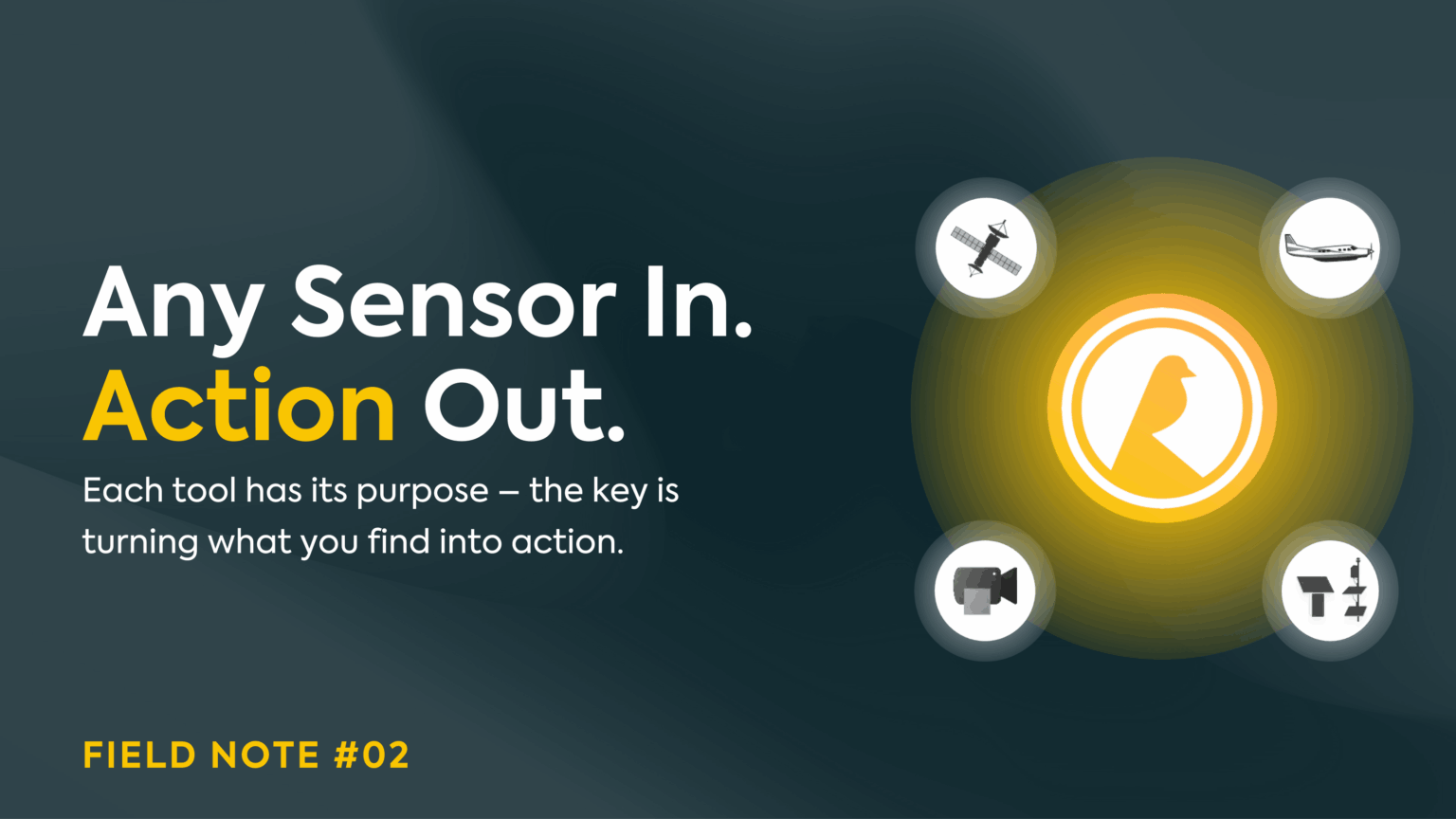 About | Project Canary | Our Company